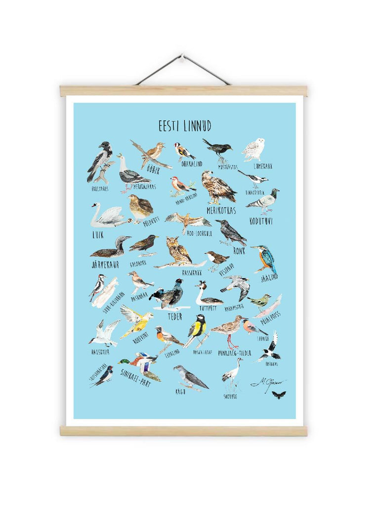 Wall print "Eesti linnud" by Mari Ojasaar – KUMA Design Store